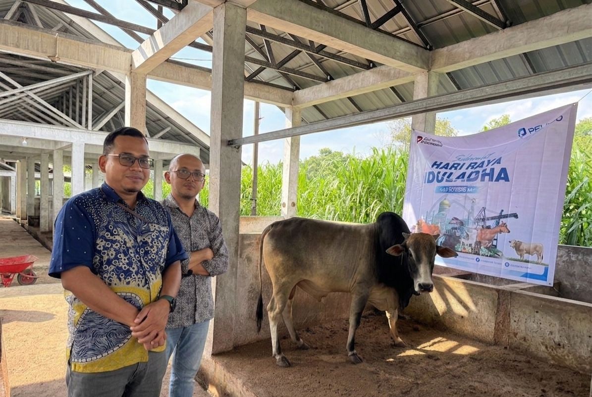 Pelindo Regional 1 Tanjungbalai Salurkan Hewan Kurban | Waspada