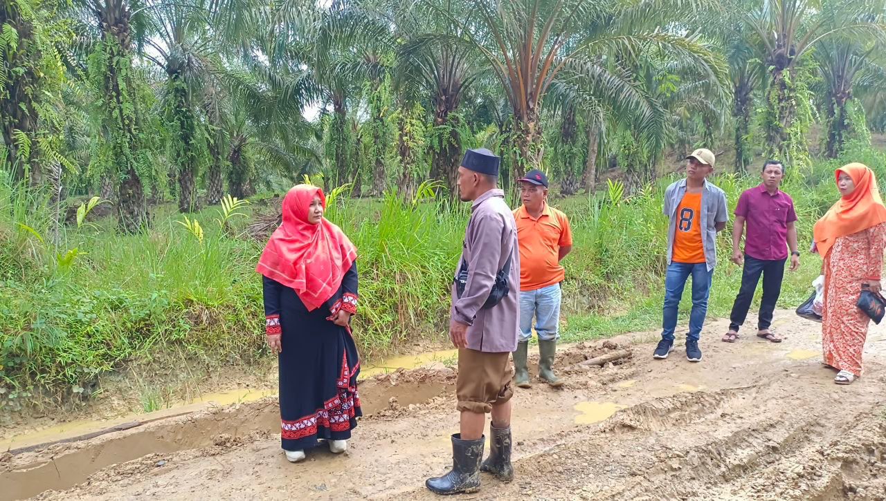 Warga Minta Nova Zahara Usul Aspal Jalan Di Kp. Sulum Tamiang