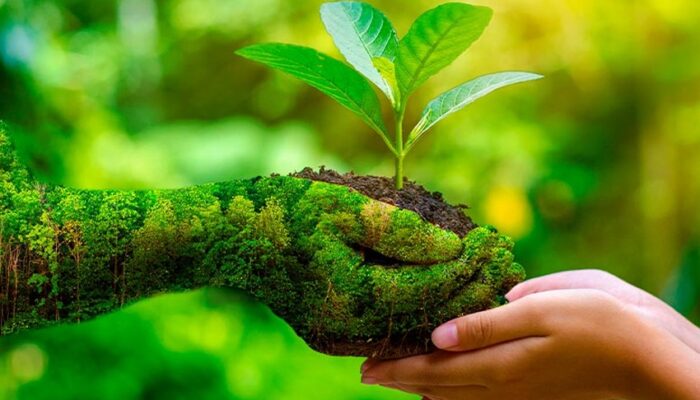 Teknologi Hijau; Masa Depan Aceh