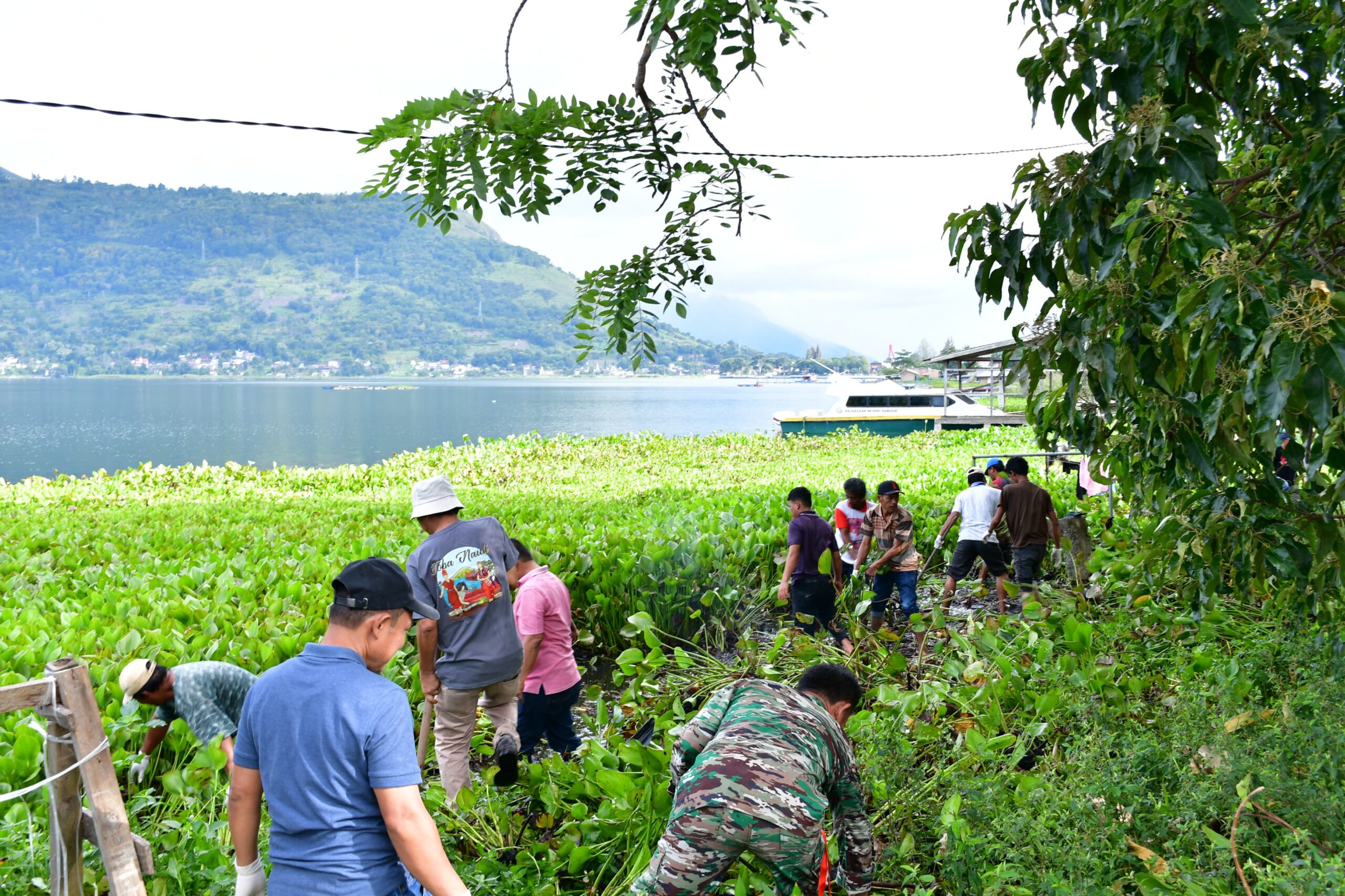 Koramil 03/Pangururan Gelar Kebersihan Eceng Gondok Di Danau Toba