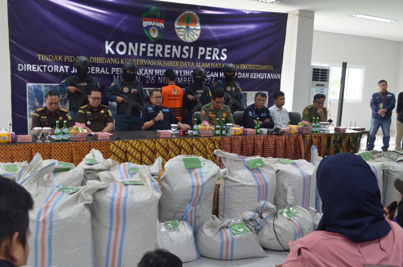 Penjualan 1,2 Ton Sisik Trenggiling Di Sumut Berhasil Digagalkan Tim Gakkum KLHK