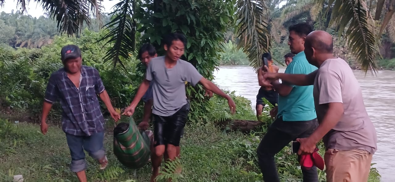5 Hari Hilang, Pensiunan BUMN Ditemukan Tewas Di Kebun Sawit