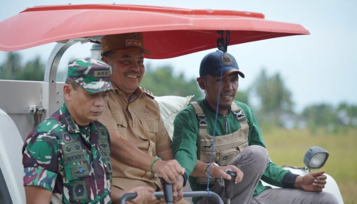 Panen Raya Padi Serentak 14 Provinsi Dilakukan Daring