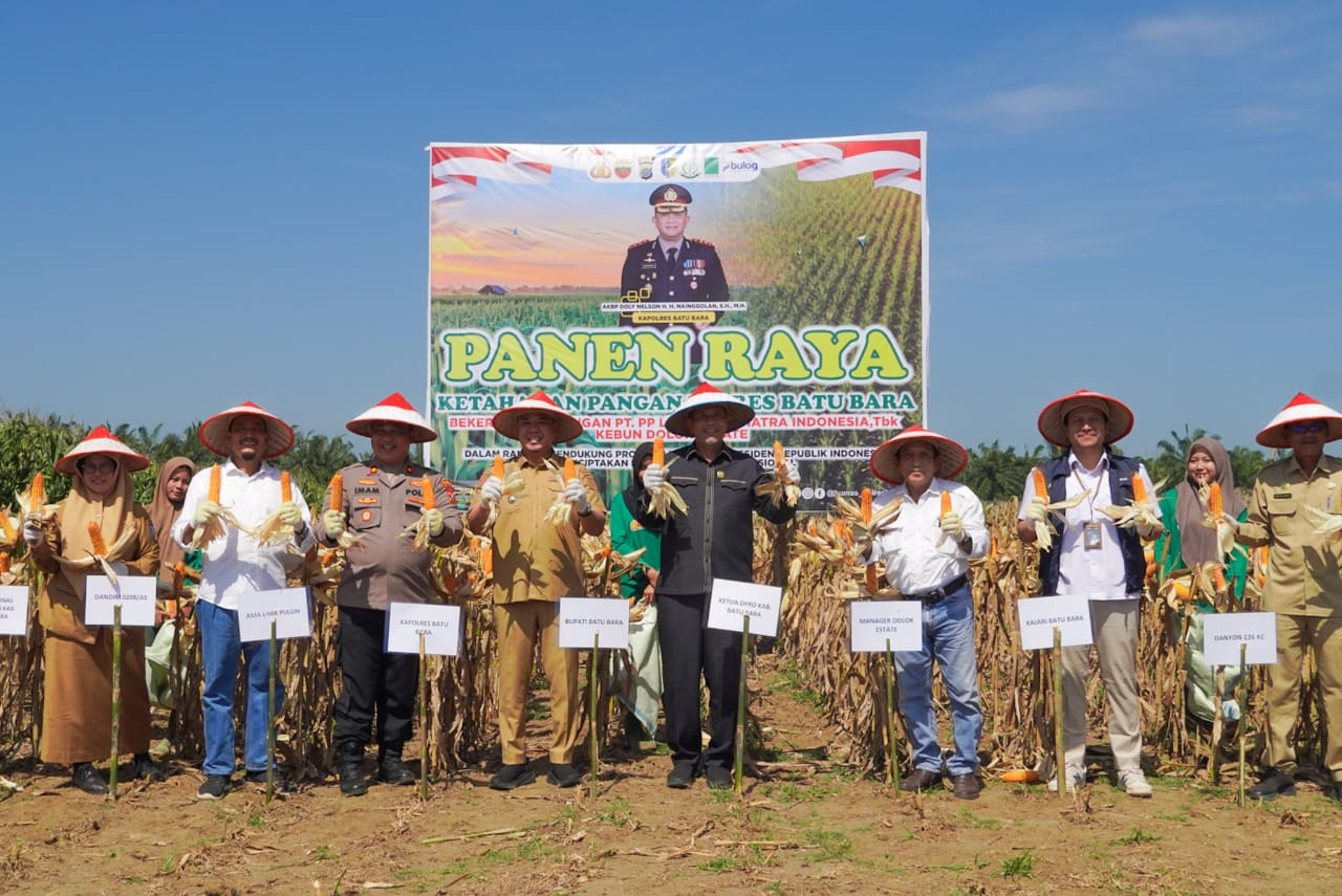 Panen Raya Jagung Sukseskan Swasembada Pangan