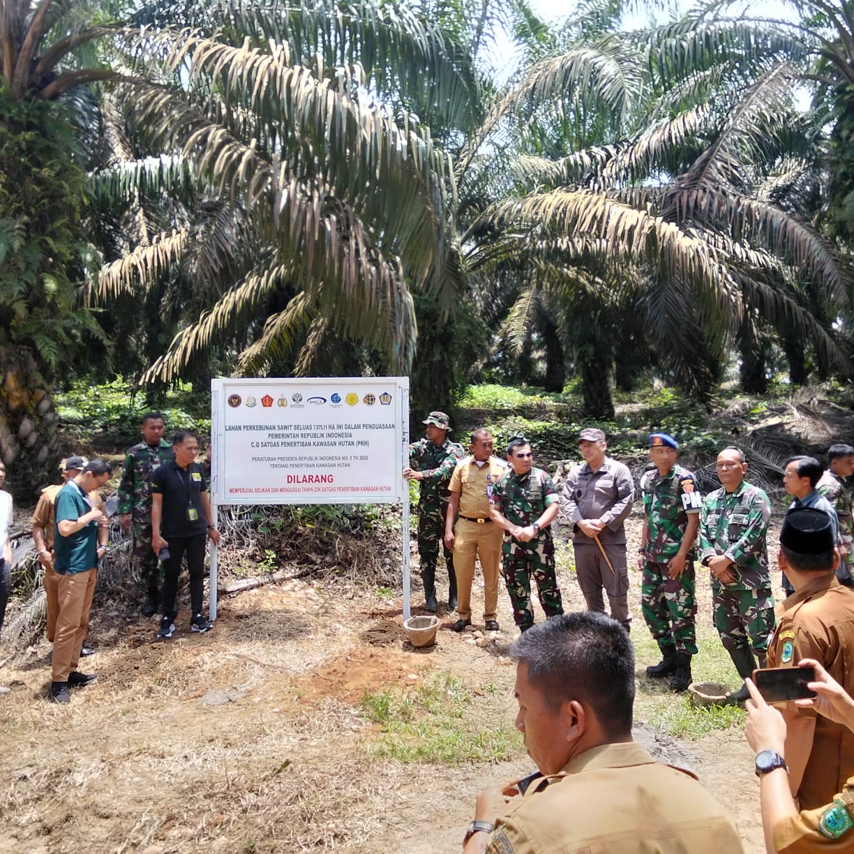 APKASINDO Apresiasi Satgas PKH Segel Ribuan Hektar Sawit Di Paluta