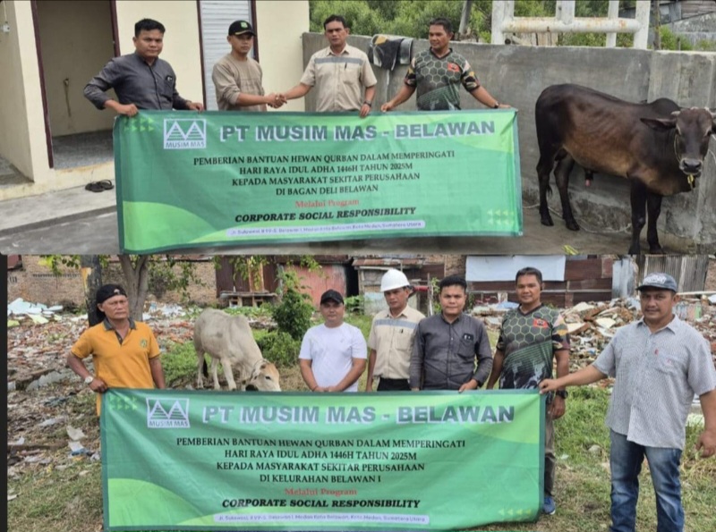 Rayakan Idul Adha 1446 H, Musim Mas Salurkan 201 Hewan Kurban